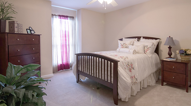 Adobe Springs - Apartments in Houston, TX